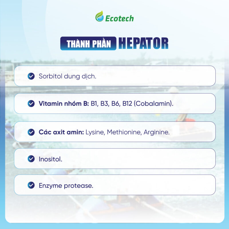 Tăng cường chức năng gan HEPATOR