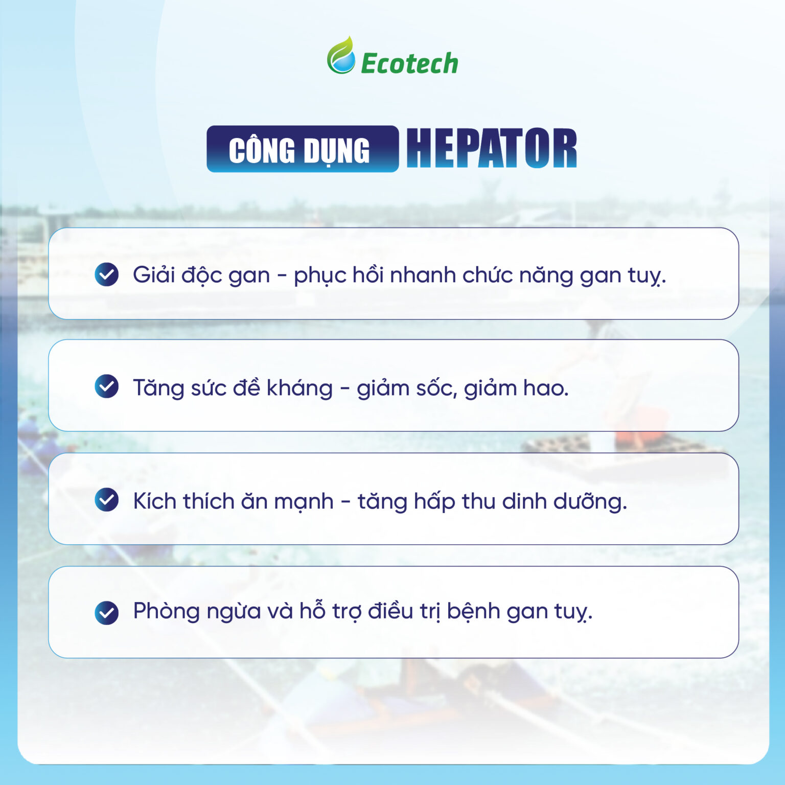 Tăng cường chức năng gan HEPATOR